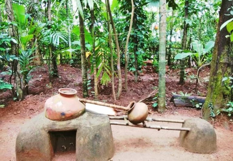 Visit a Spice Plantation in Goa - Top 5 Reasons for a visit