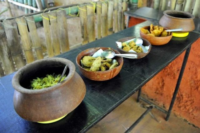 Visit a Spice Plantation in Goa - Top 5 Reasons for a visit