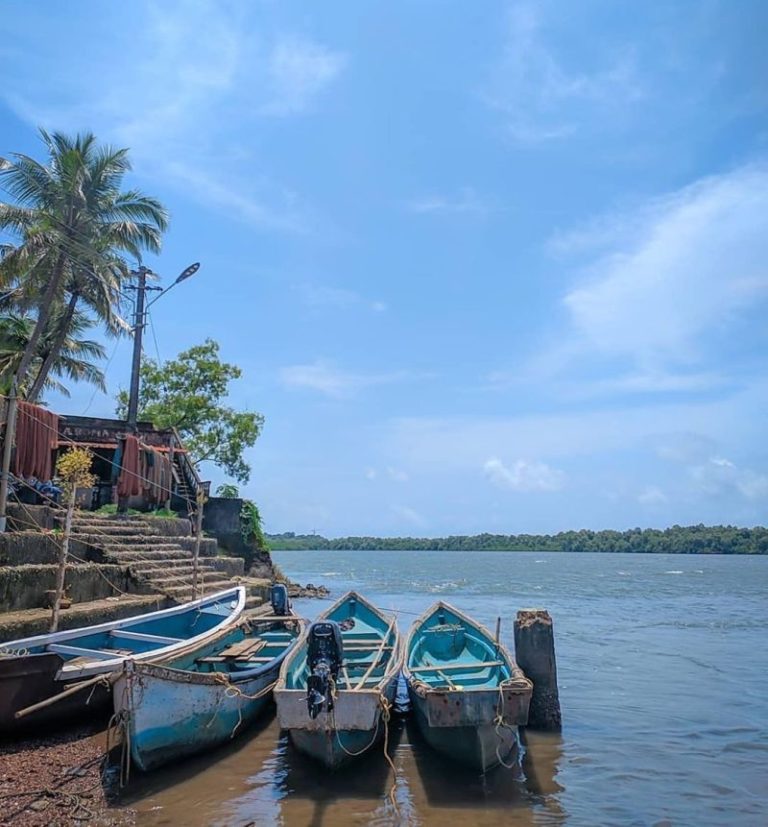 Churches of Goa - The Top 7 churches to visit in Goa