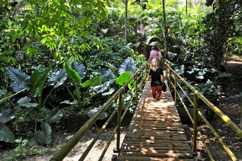 Visit a Spice Plantation in Goa - Top 5 Reasons for a visit